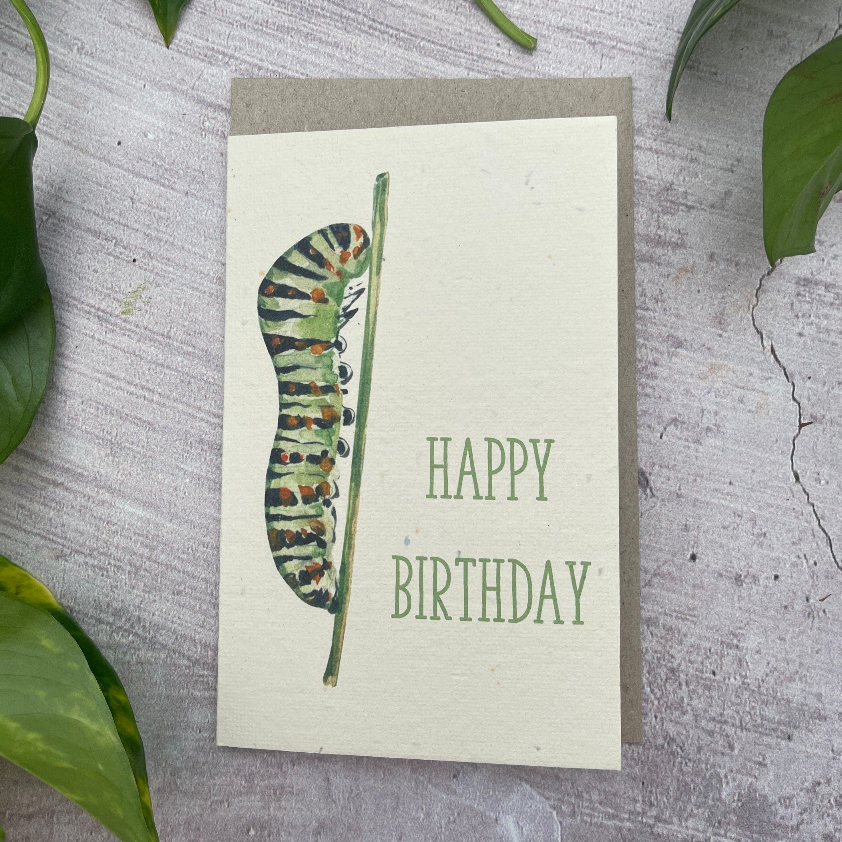 Plantable Caterpillar Birthday Card – Planet Go Round