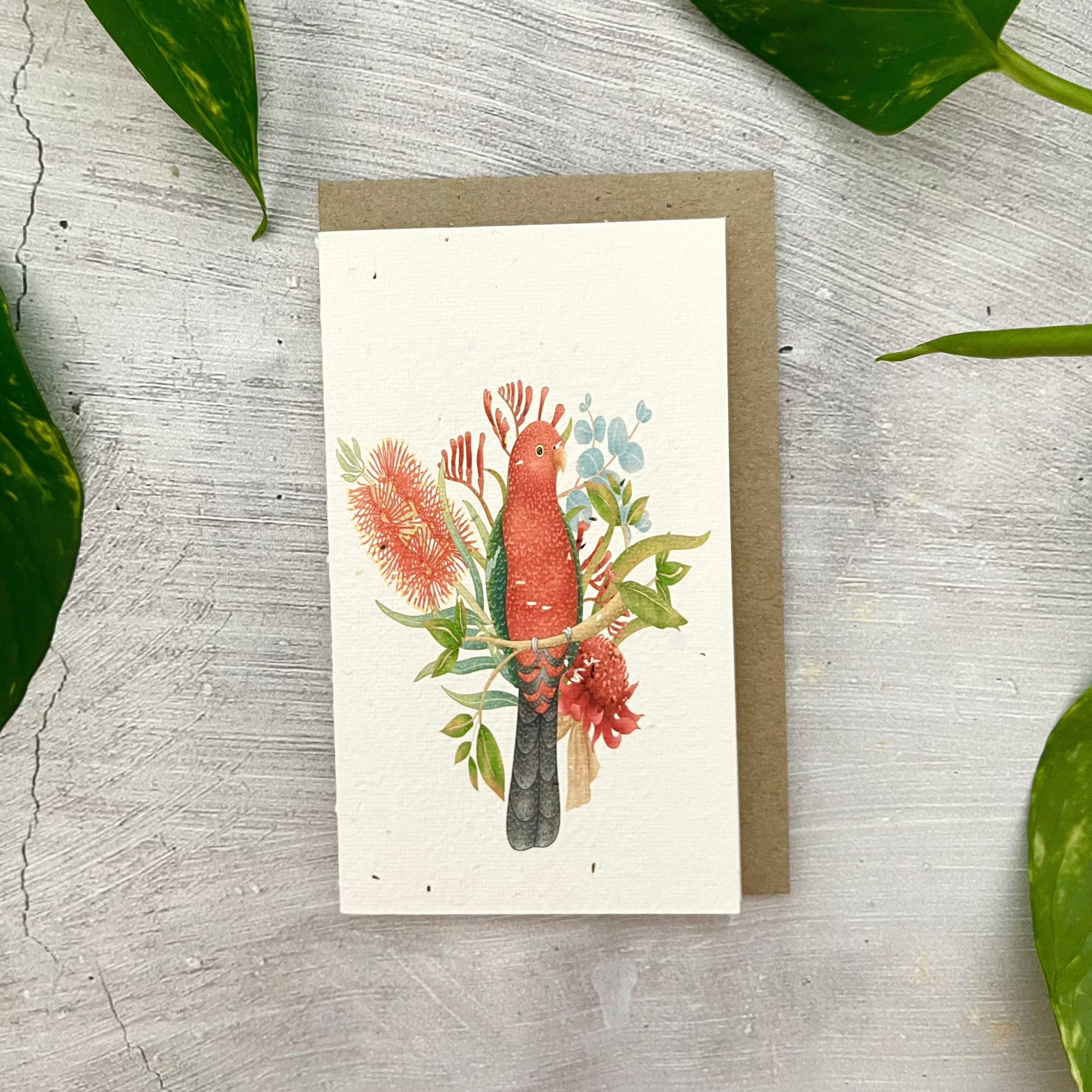 Plantable 'King Parrot' Generic Card – Planet Go Round